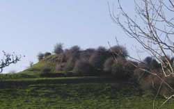 motte_gammells | Ballinacree Historical Society